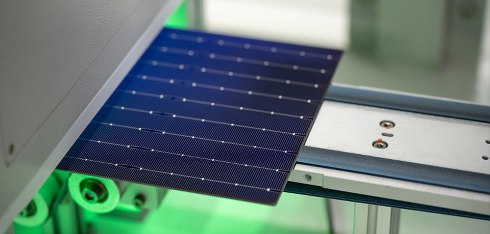 Board Camera | Module | Low cost